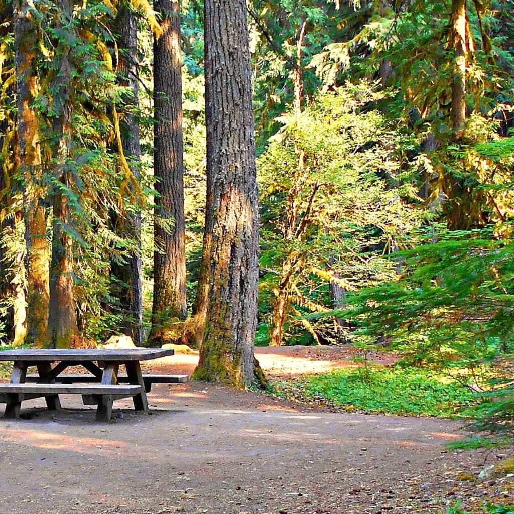 The Beginners Guide To RV Campgrounds 101 | Tumbleweed Travel Co.