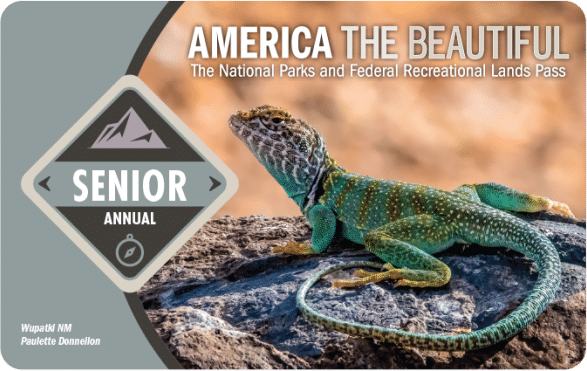 Ultimate Guide: How To Choose The Right National Parks Pass ...