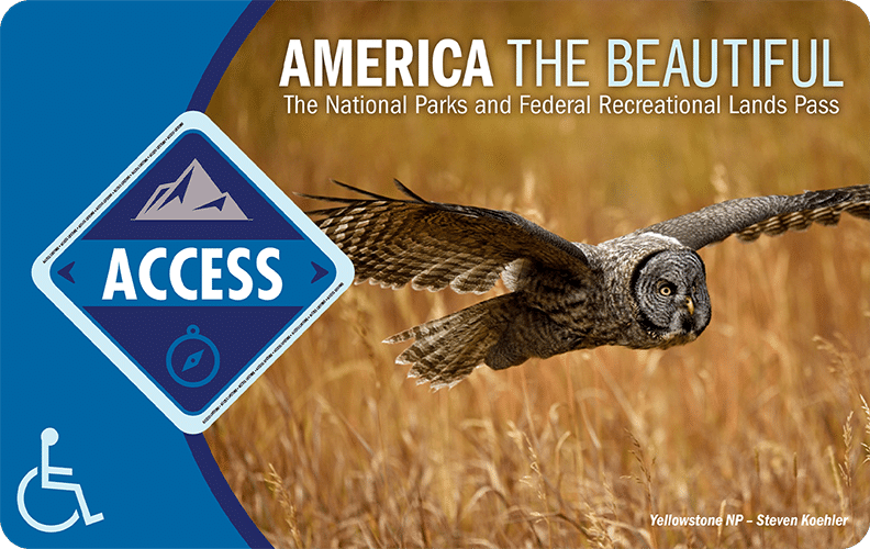 Ultimate Guide: How To Choose The Right National Parks Pass ...